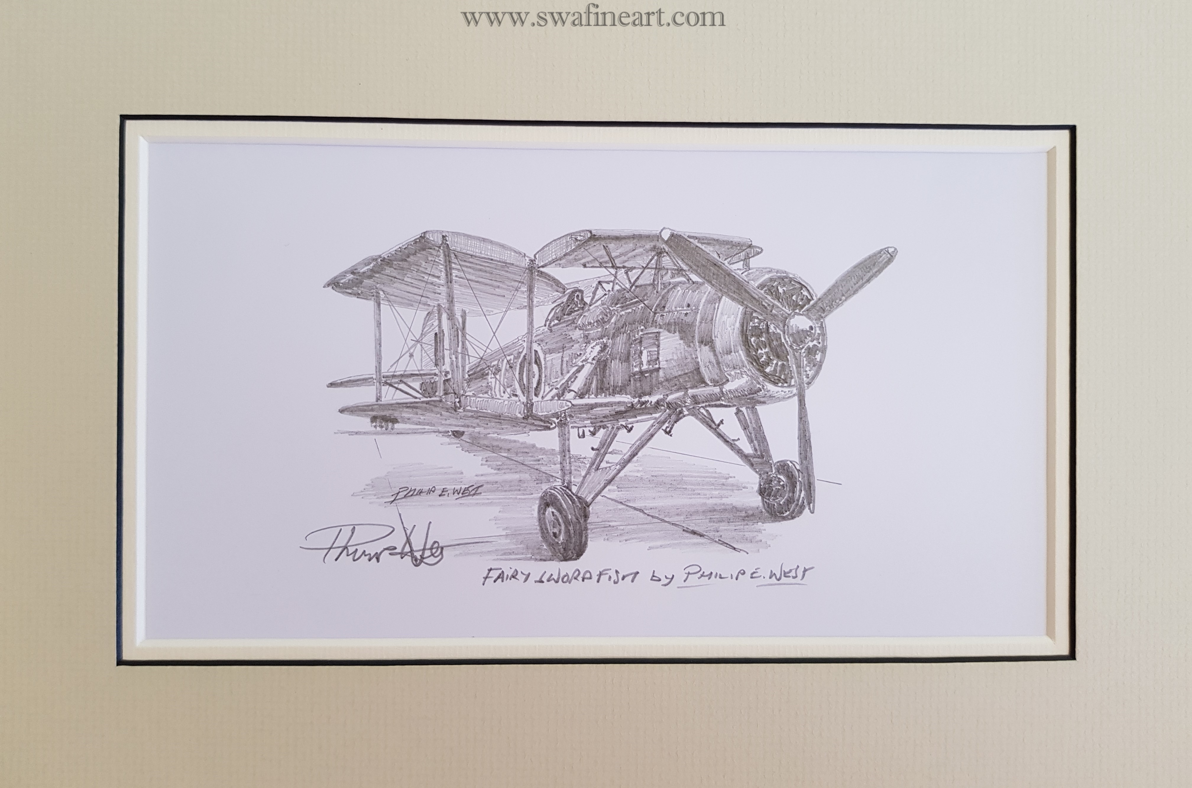 Fairy Swordfish Original Pencil Drawing by Philip West