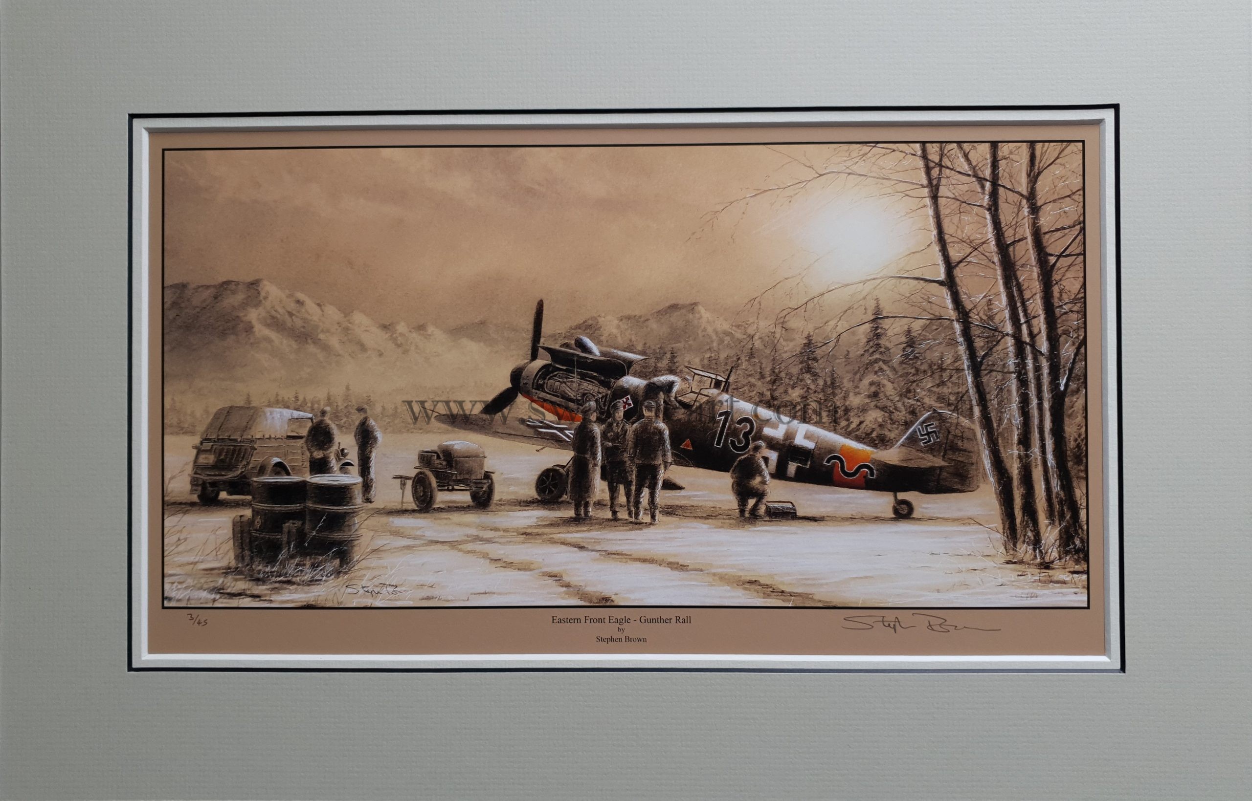 Eastern Front Eagle Gunther Rall Black 13 of Staffelkapitan Gunther