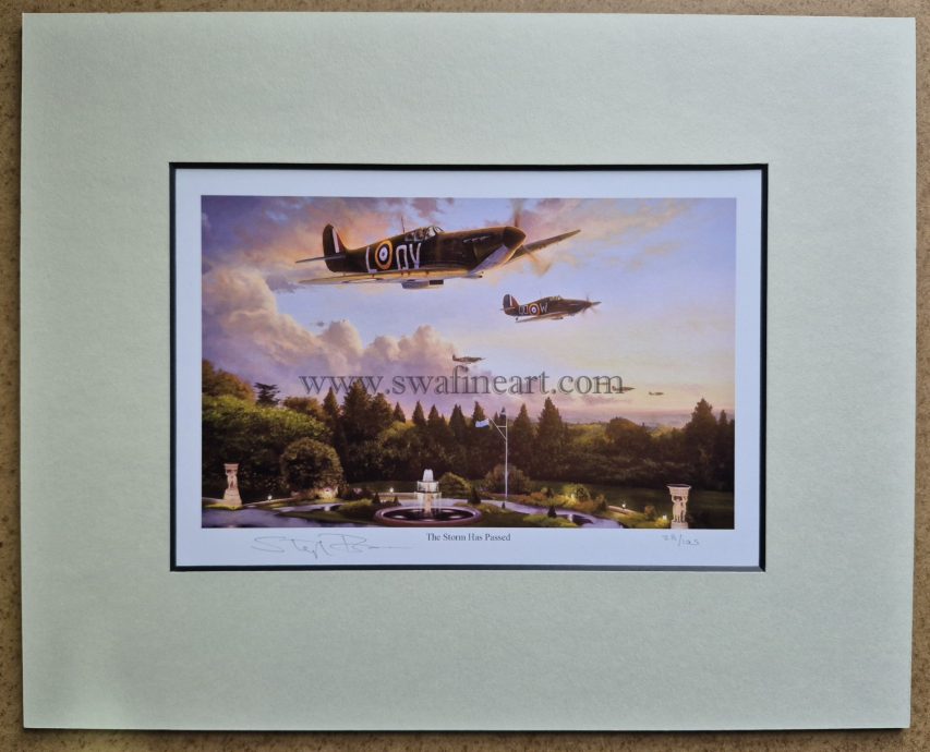 Supermarine Spitfire The Storm has Passed Spitfires of 19 Sqn